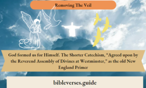 The Veil Removed - Bible Verses