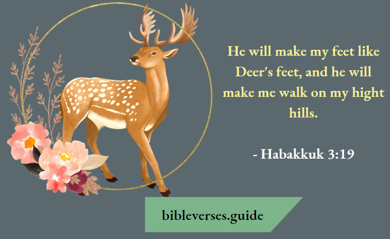 Habakkuk 3:19 ESV - God, The Lord, Is My Strength - Bible Verses