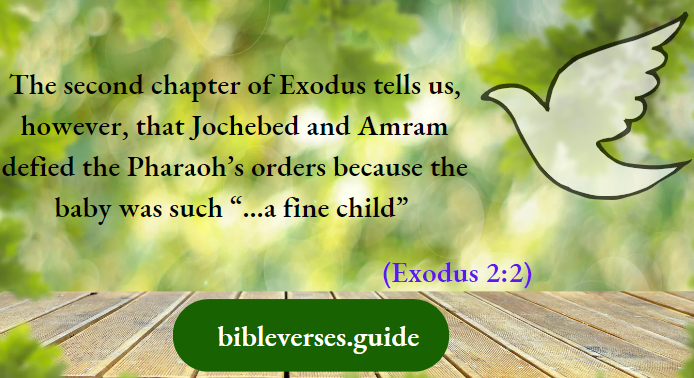 The Book of Exodus - Bible Verses
