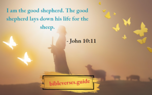John 10-11 NIV - The Good Shepherd and His Sheep - Bible Verses