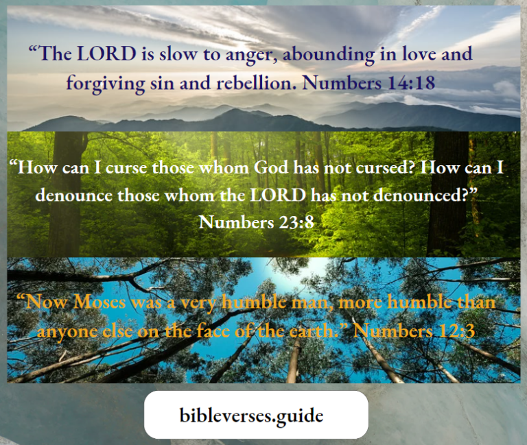 Summary of the Book of Numbers - Bible Verses