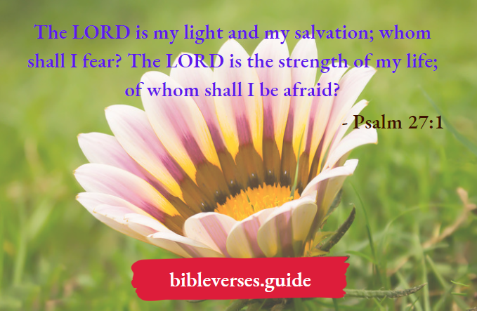PSALM 27:1 The Lord Is My Light And My Salvation - Bible Verses