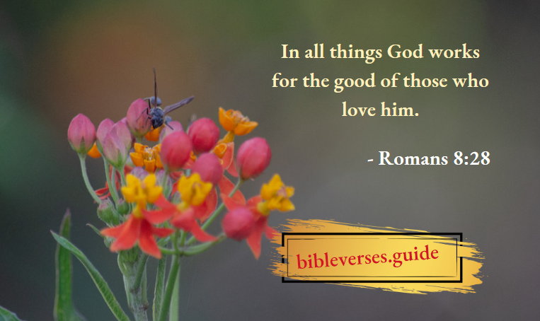 Romans 8:28 Esv: And We Know That For Those Who Love - Bible Verses