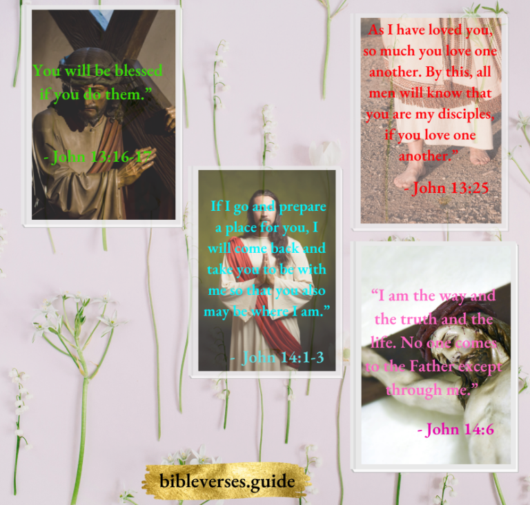 The Book Of John - Bible Verses