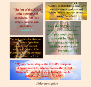 The Book of Proverbs Volume 20 - Bible Verses