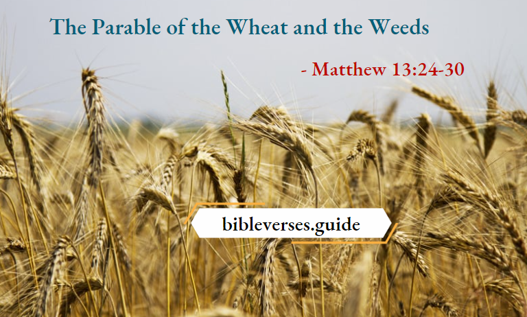 The Parable Of The Wheat And The Weeds Bible Verses The Parable Of The Wheat And The Weeds Bible Verses