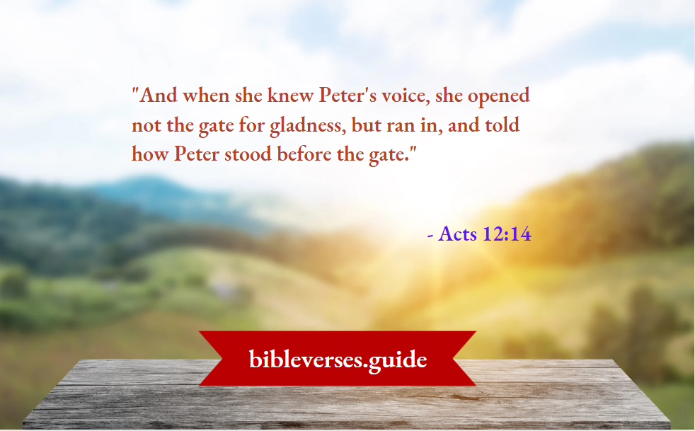 Acts Of The Apostles - Acts Chapter 12 - Bible Verses