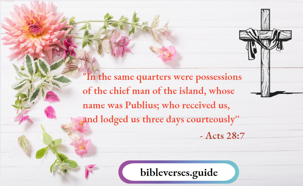 Acts Of The Apostles - Acts Chapter 28 - Bible Verses
