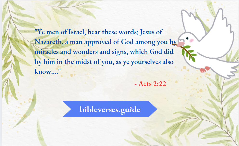 Acts Of The Apostles - Act Chapter 2 - Bible Verses