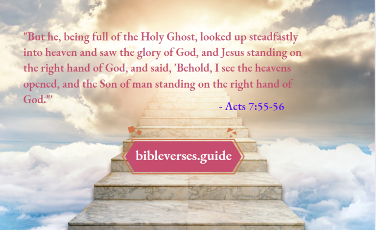 Acts Of The Apostles - Acts Chapter 7 - Bible Verses