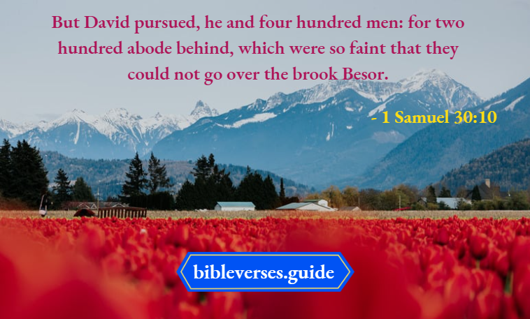 1 Samuel 30: A Story Of Resilience, Faith, And Restoration - Bible Verses