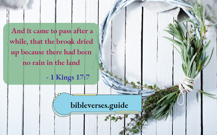 1 Kings 17: Miracles, Faith, And God’s Provision In Hard Times - Bible ...