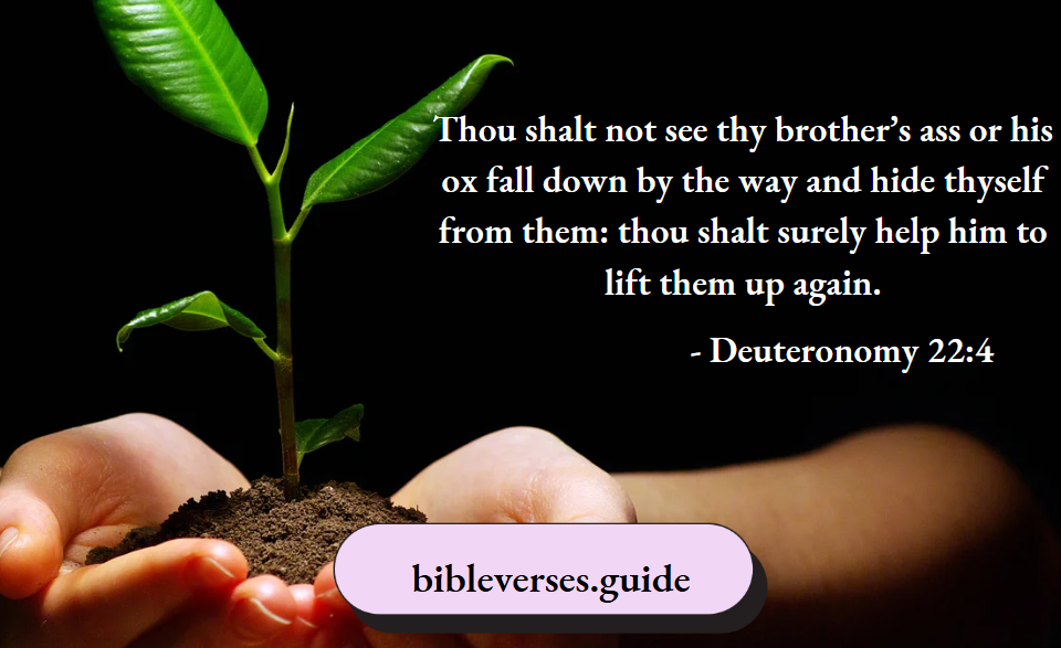 Deuteronomy 22: Upholding Integrity And Responsibility In Daily Living ...