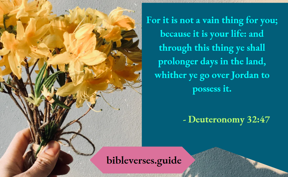 Deuteronomy 32: Moses’ Song Of God’s Power, Justice, And Faithfulness ...