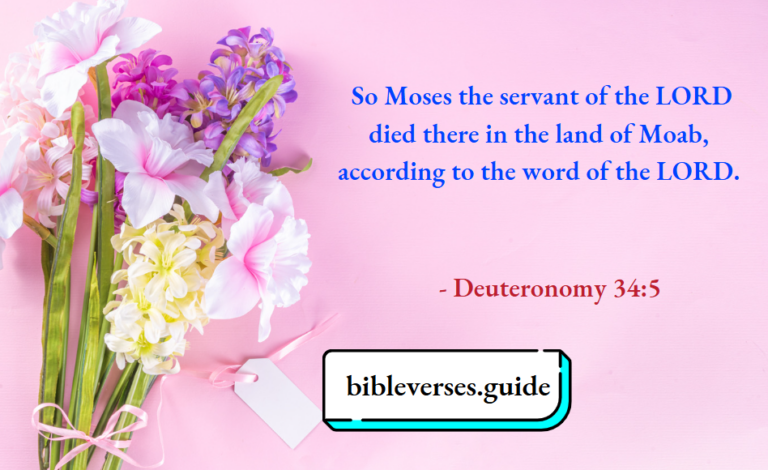 Deuteronomy 34: The Legacy Of Moses And God’s Faithful Promise ...