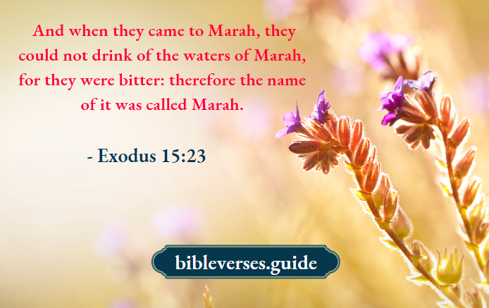 Exodus 15 The Song Of Deliverance: Praising The Lord Of Salvation - Bible Verses