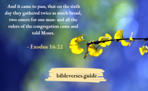 Exodus 16 Bread From Heaven: God’s Provision In The Wilderness - Bible ...