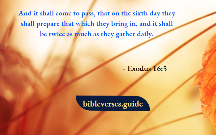 Exodus 16 Bread From Heaven: God’s Provision In The Wilderness - Bible Verses
