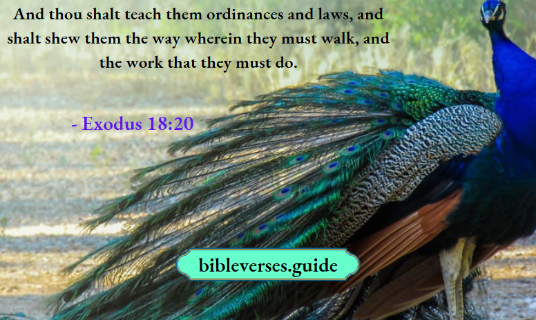 Exodus 18 Jethro’s Wisdom: The Importance Of Godly Counsel - Bible Verses