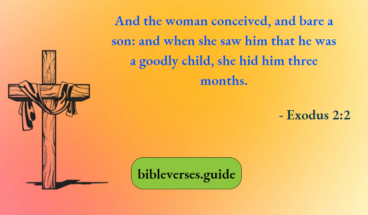 Exodus 2 The Rise Of Moses And God’s Plan For Deliverance - Bible Verses