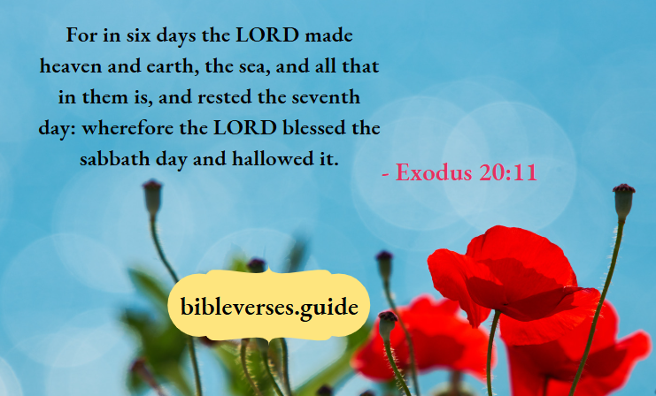 Exodus 20 The Ten Commandments: God’s Moral Law For His People - Bible Verses