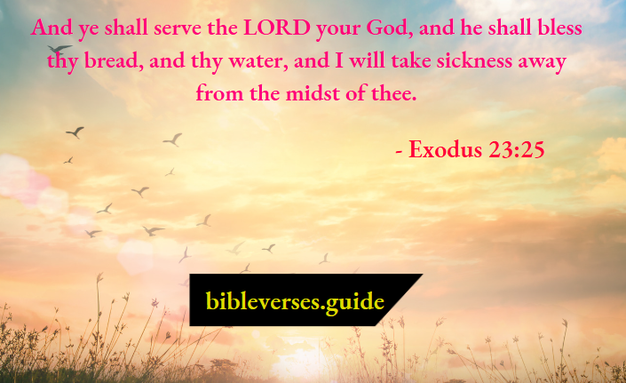 Exodus 23 The Covenant Confirmed: God’s Promise Of Blessing - Bible Verses