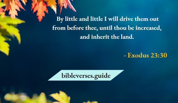 Exodus 23 The Covenant Confirmed: God’s Promise Of Blessing - Bible Verses