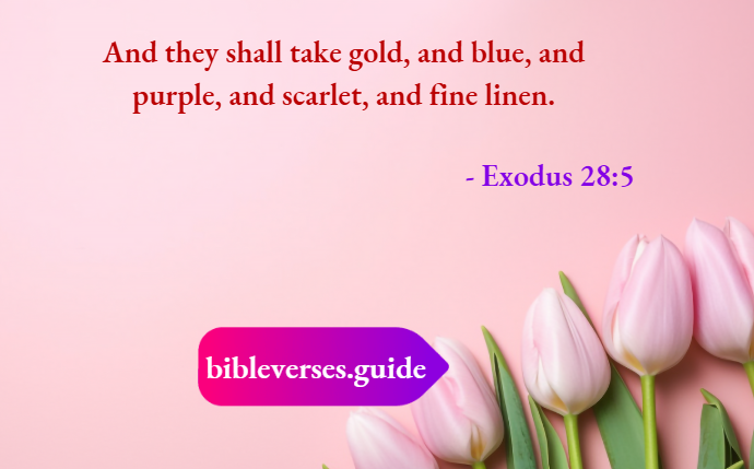 Exodus 28 Priestly Garments: Holiness In Ministry - Bible Verses