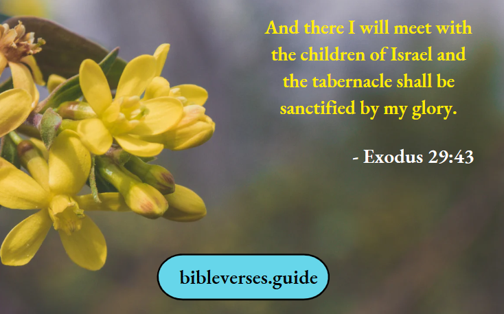 Exodus 29 The Priests Consecrated: Serving The Lord With Purity - Bible ...
