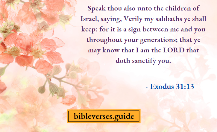 Exodus 31 Bezalel And Oholiab: Empowered By The Spirit For Service ...