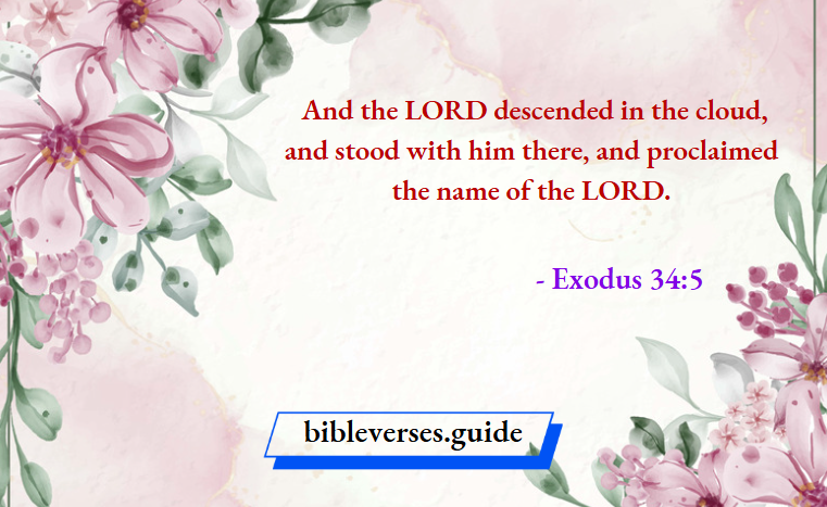 Exodus 34 The Renewal Of The Covenant: God’s Grace And Mercy - Bible Verses