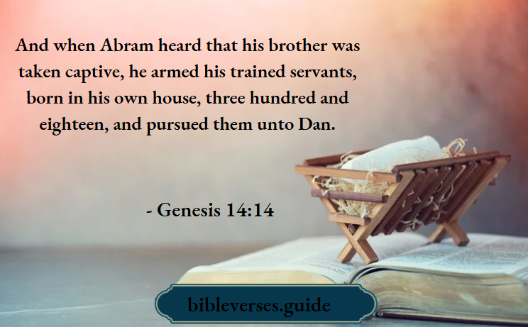 Genesis 14 Faith In Action And Divine Provision - Bible Verses