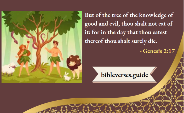 Genesis 2 The Birth Of Humanity And Relationship - Bible Verses