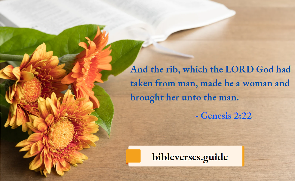 Genesis 2 The Birth Of Humanity And Relationship - Bible Verses