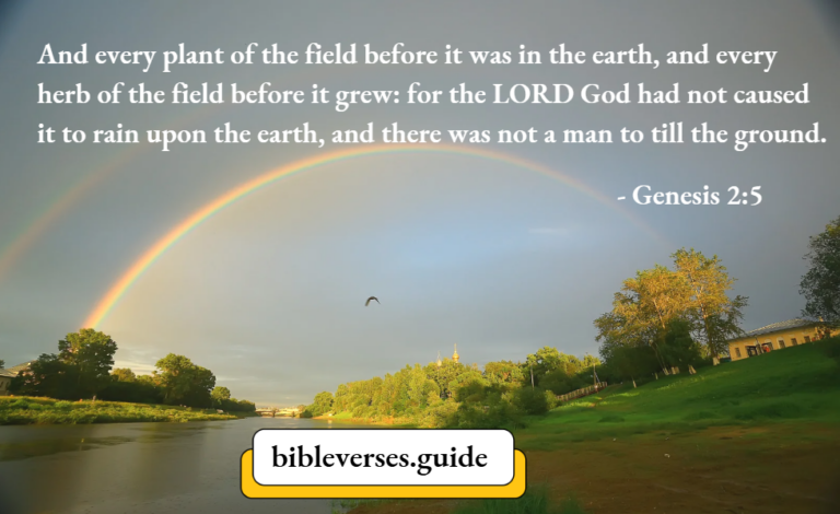 Genesis 2 The Birth Of Humanity And Relationship - Bible Verses