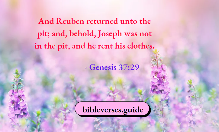 Genesis 37 God’s Sovereignty In Joseph’s Suffering - Bible Verses