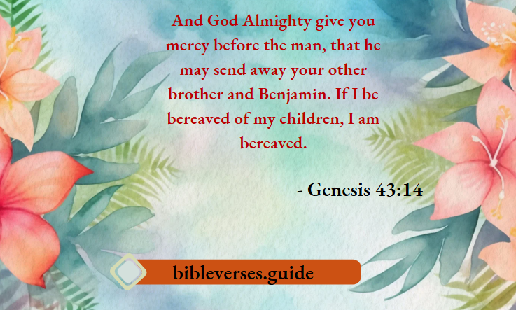 Genesis 43 A Family Faces Their Fears And Finds Grace - Bible Verses