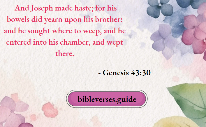 Genesis 43 A Family Faces Their Fears And Finds Grace - Bible Verses