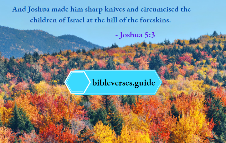 Joshua 5: Renewing Covenant Faithfulness And Preparing For Victory - Bible Verses