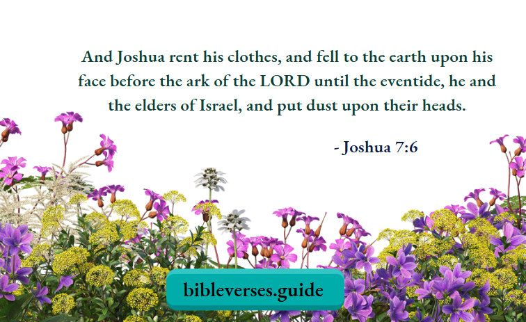 Joshua 7: The Sin Of Achan And The Lessons Of Accountability - Bible Verses