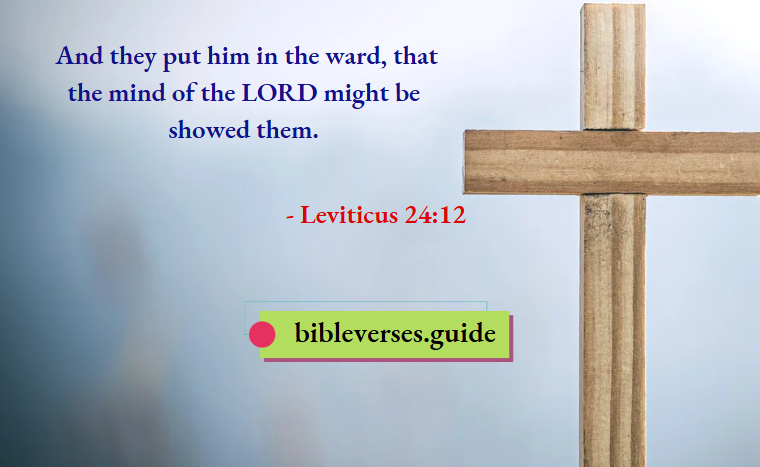 Leviticus 24: The Lampstand, Bread, And Justice Of God - Bible Verses