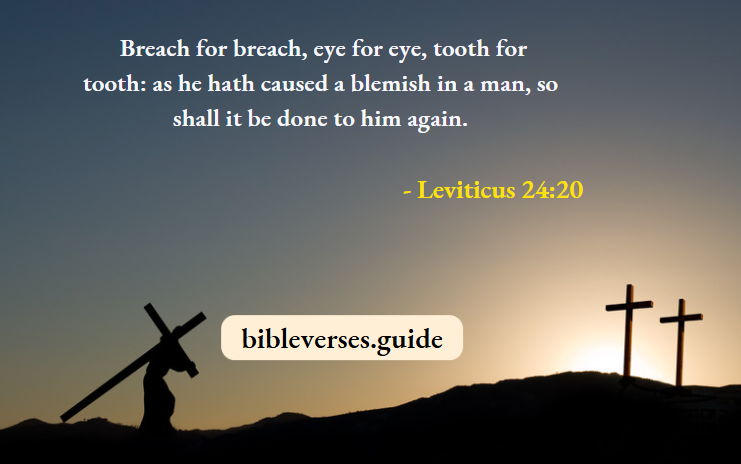 Leviticus 24: The Lampstand, Bread, And Justice Of God - Bible Verses