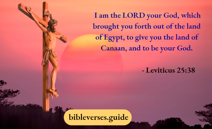 Leviticus 25: The Call to Stewardship and Redemption - Bible Verses