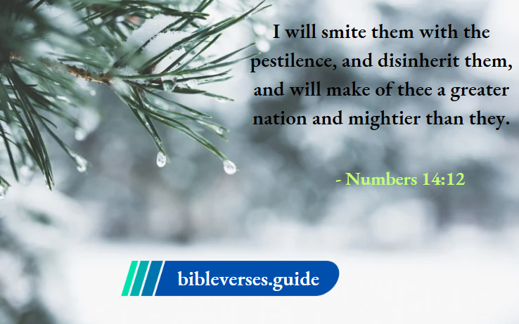 Numbers Archives - Bible Verses