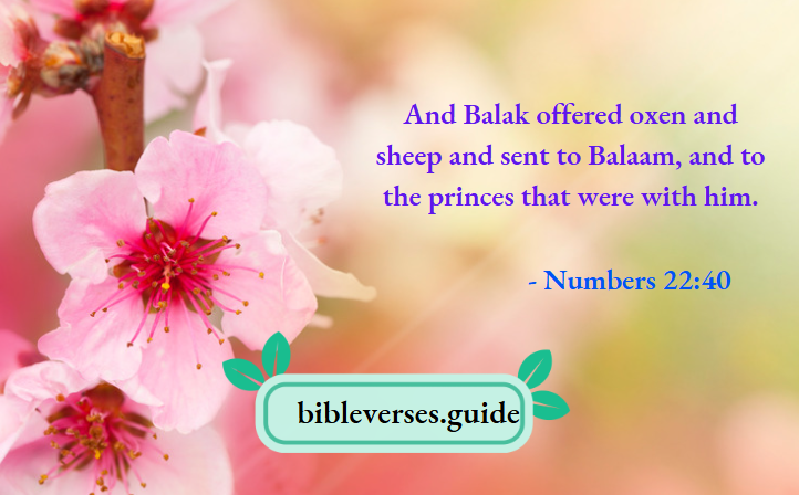 The Story Of Balaam: Divine Warnings And Unseen Battles In Numbers 22 ...