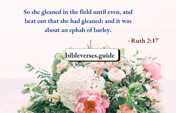 Ruth 2: Finding Blessings In Unexpected Places - Bible Verses