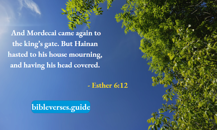 Esther 6: When Humility Meets Divine Favor - Bible Verses