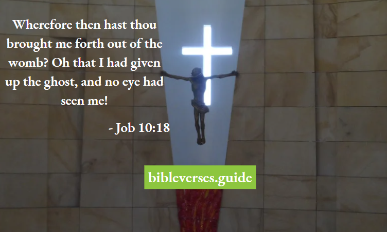 Job 10: A Raw And Honest Look At The Human Heart In Suffering - Bible ...