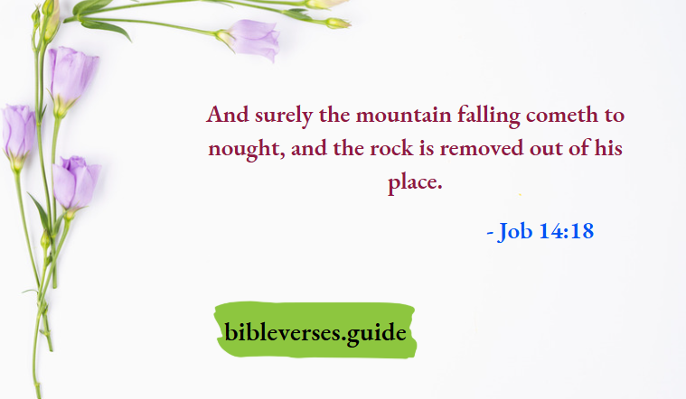 Job 14: A Prayer For Mercy In The Midst Of Suffering - Bible Verses