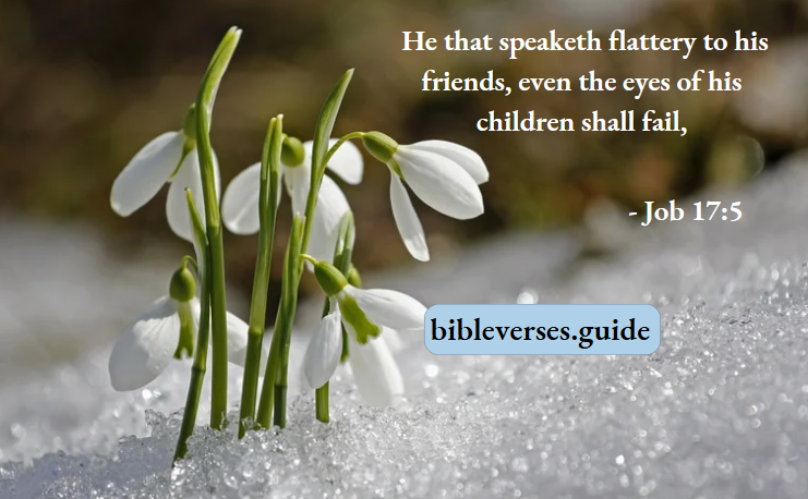 Job 17: When Faith Endures Amid Seemingly Hopeless Circumstances ...